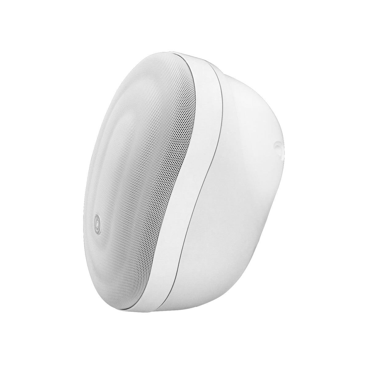 Pure Acoustics Calisto Indoor/Outdoor Bluetooth Enabled On-Wall Speake ...